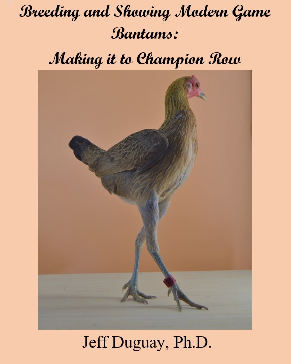 Breeding and Showing Modern Game Bantams: Making it to Champion Row ...