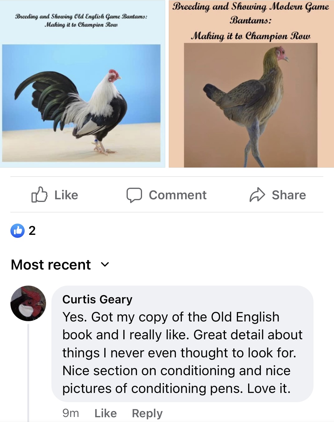 Testimonials Old English Book – Clucker Books
